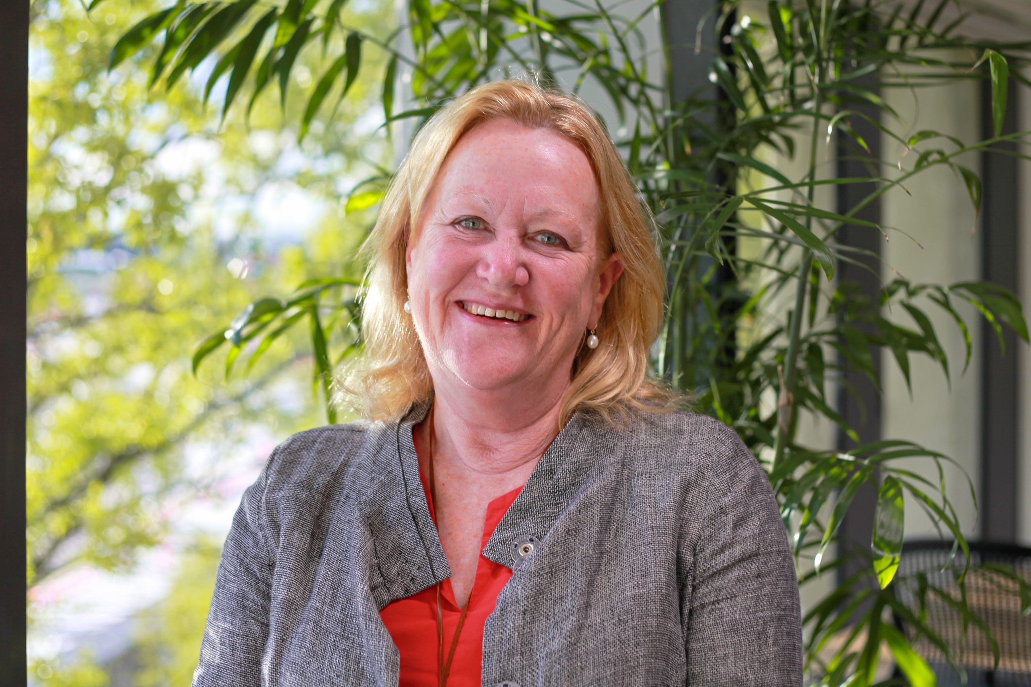 Directors and Council